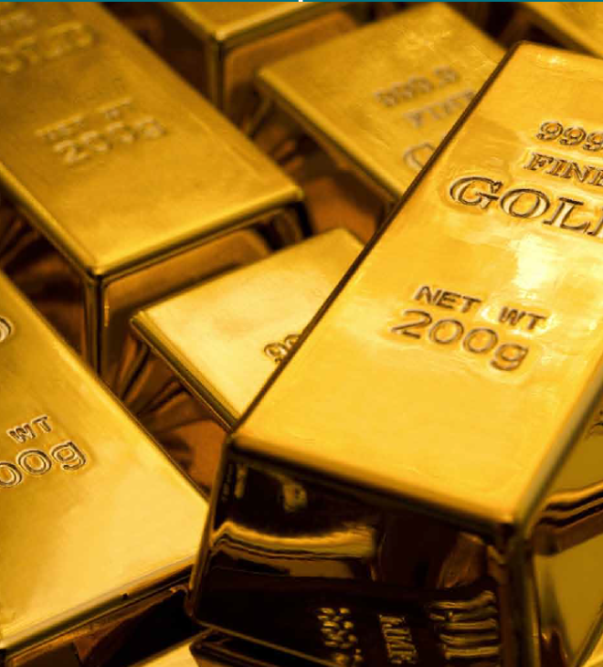 Dealers in Precious Metals and Stones Registration System (DRS) | Digital Policy Office